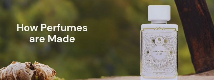 7 Steps of Perfume Making Process | How Perfumes are Made – The ...