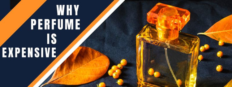 Why Perfume is Expensive: Understanding the Value Behind the Price ...